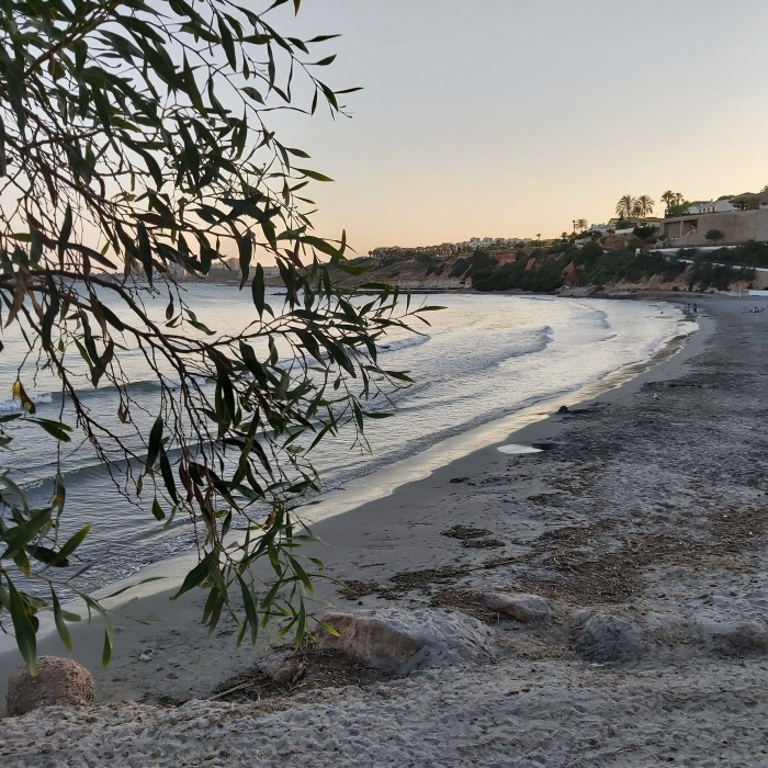 Verano 2020 Cabo Roig | caboroigblog