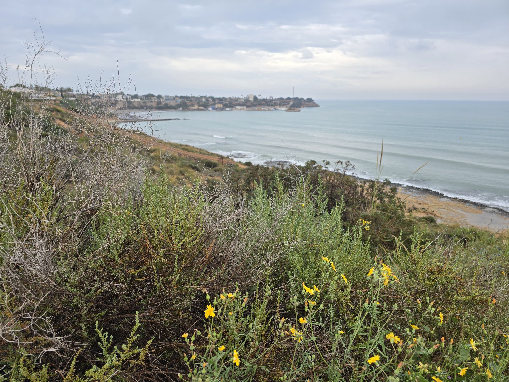 Vistas junto al Mar Cabo Roig abril 2025 | caboroigblog